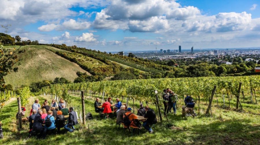 Vienna organises sustainable food conference - Organic Cities Network ...