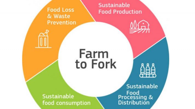 The Farm to Fork strategy and EU Organic Action Plan - Organic Cities ...